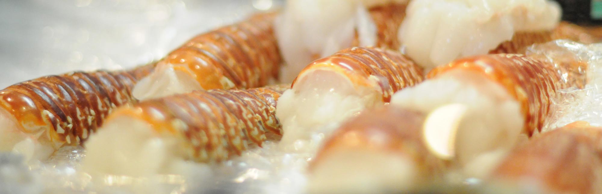 Kona Jack's Fish Market - Daddy, Kona & Apres Jack's